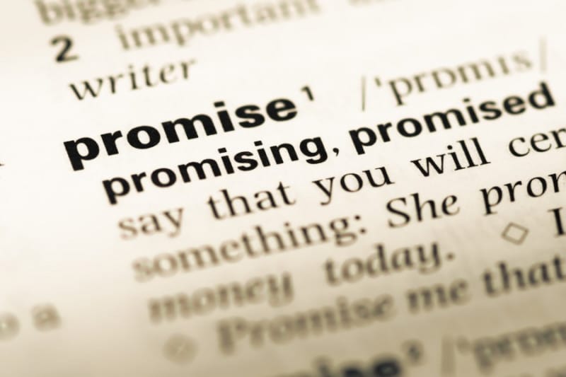 Goals Are For Hockey Players. Promises Are For Businesses